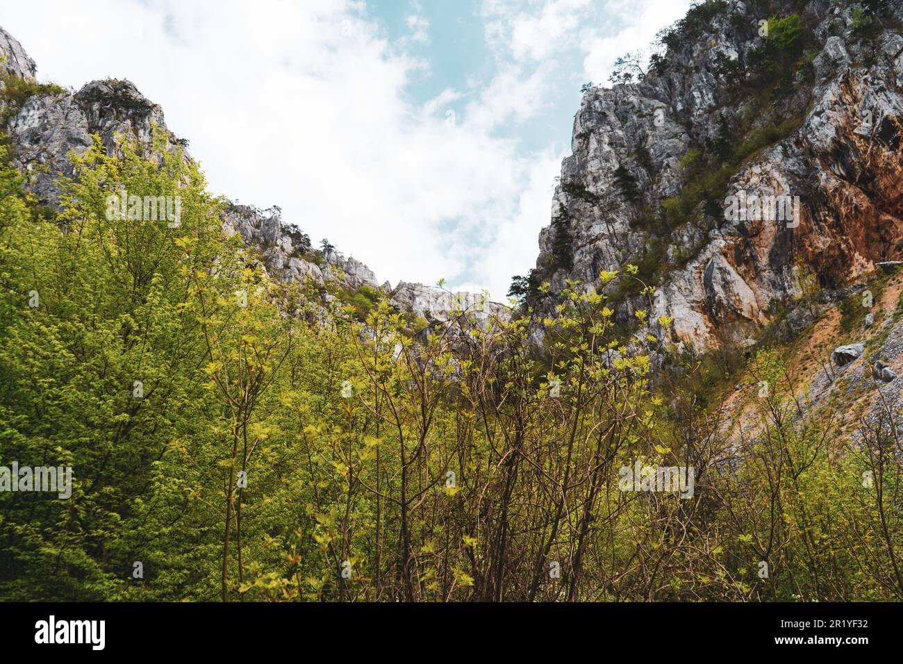 A breathtaking view of a rugged landscape featuring a cliff face, rocky ...