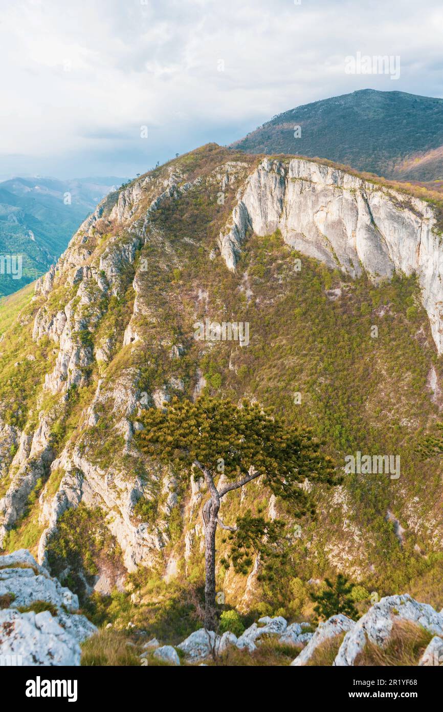 Aerial view of the lush, rolling hills of the Southern Carpathian ...