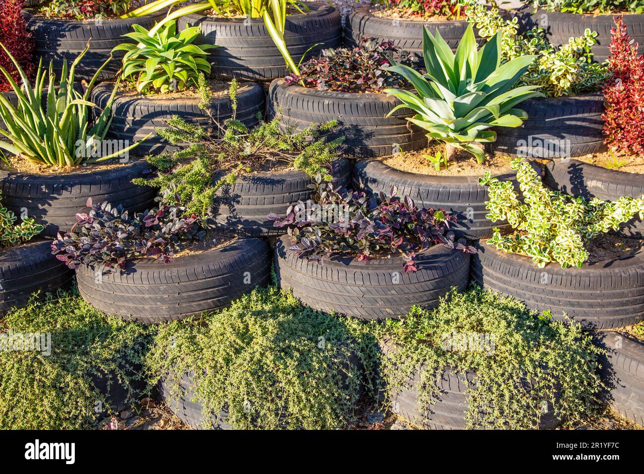 Garden with old tires used as flower pots Stock Photo - Alamy