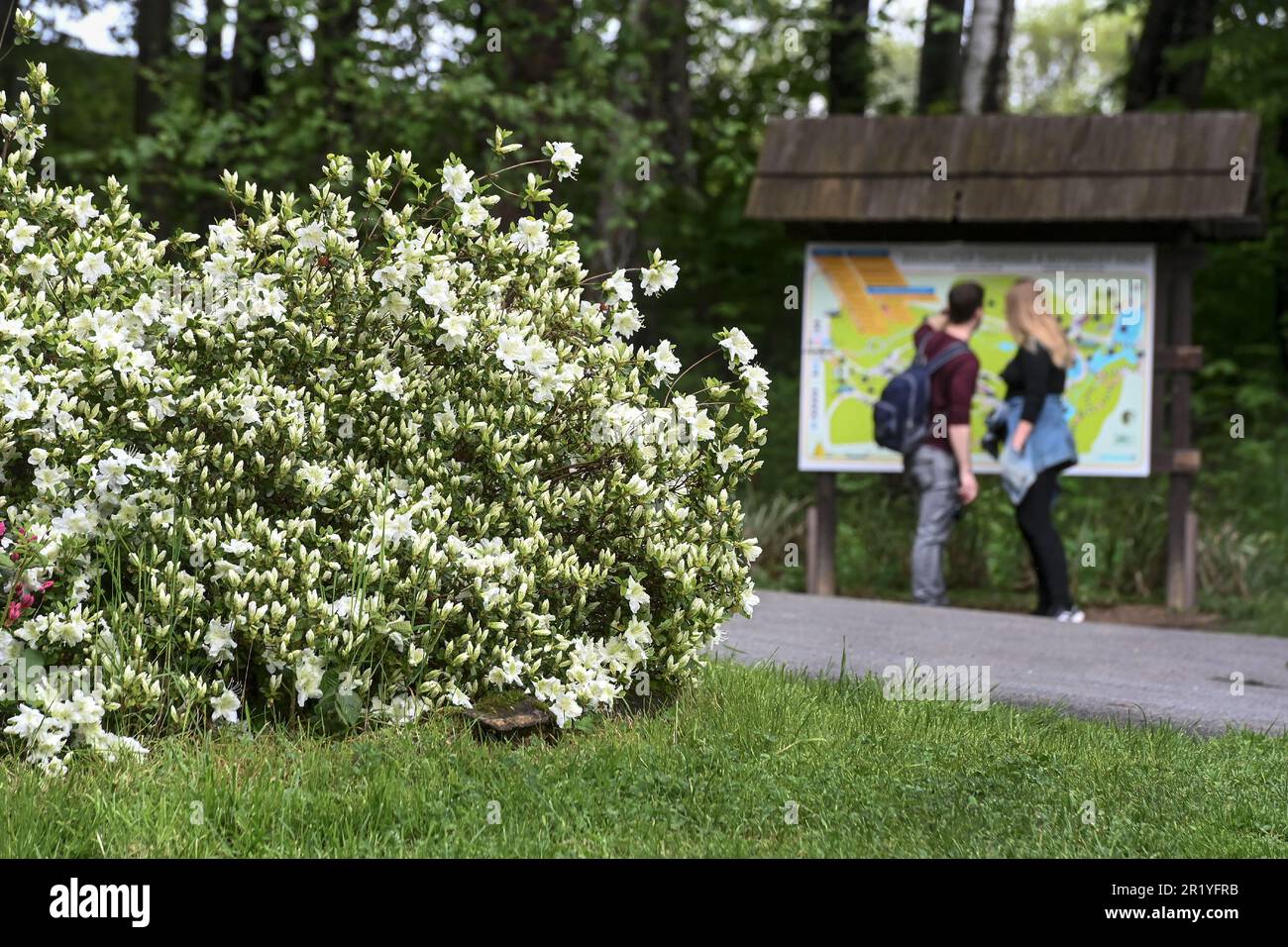 Czech nature photo 2023 hi-res stock photography and images - Alamy