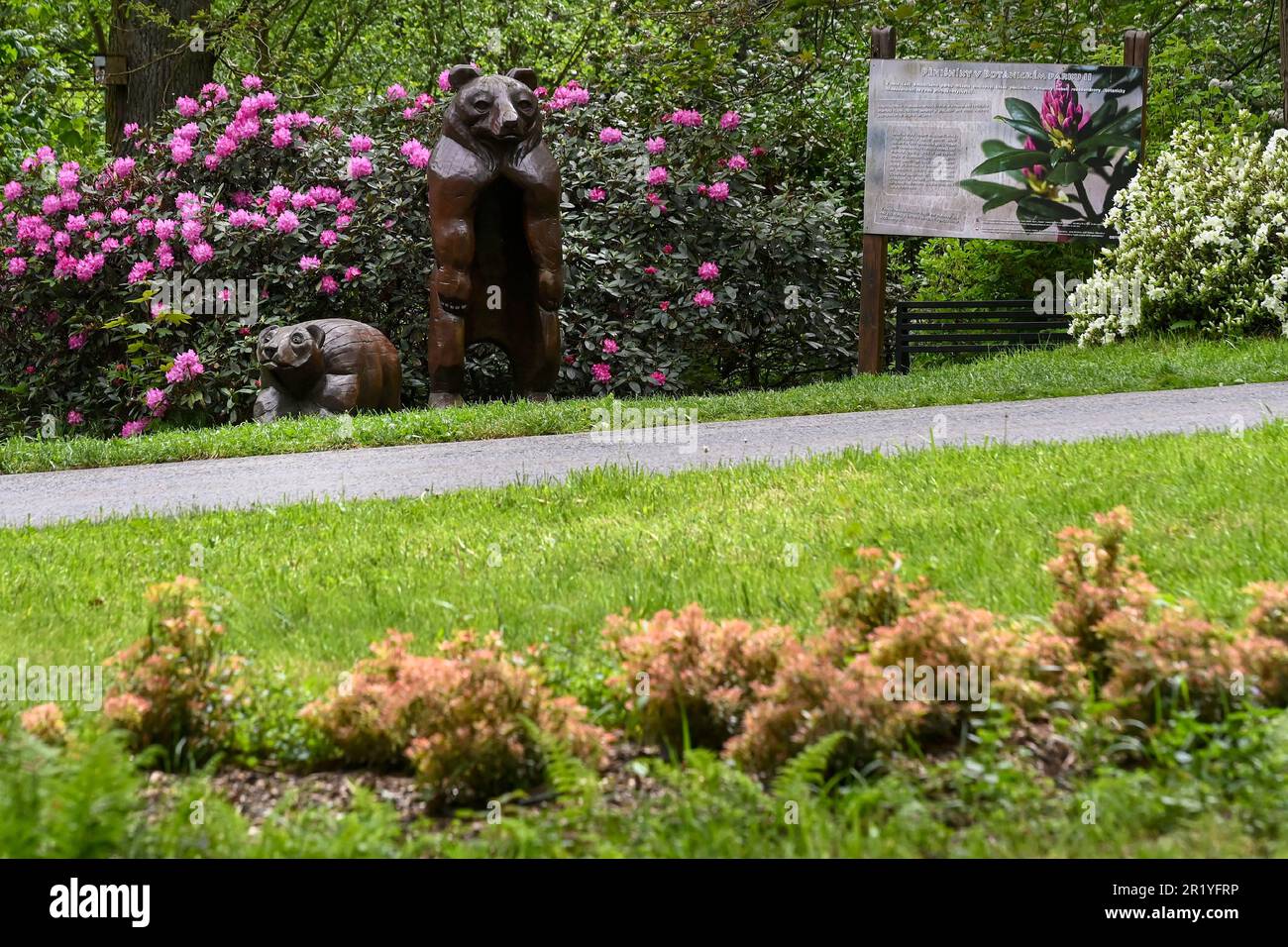 Czech nature photo 2023 hi-res stock photography and images - Alamy