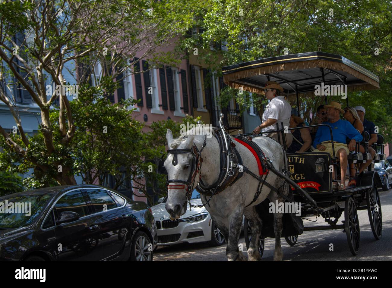 Georgia savannah historic horse carriage hi-res stock photography and ...