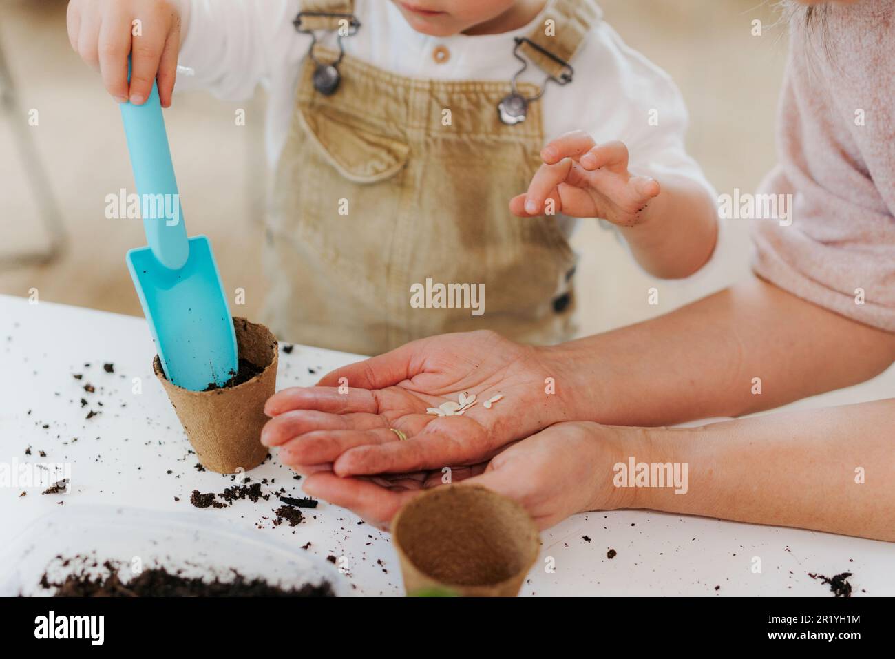 Close up of planting vegetable seeds, spring concept Stock Photo - Alamy