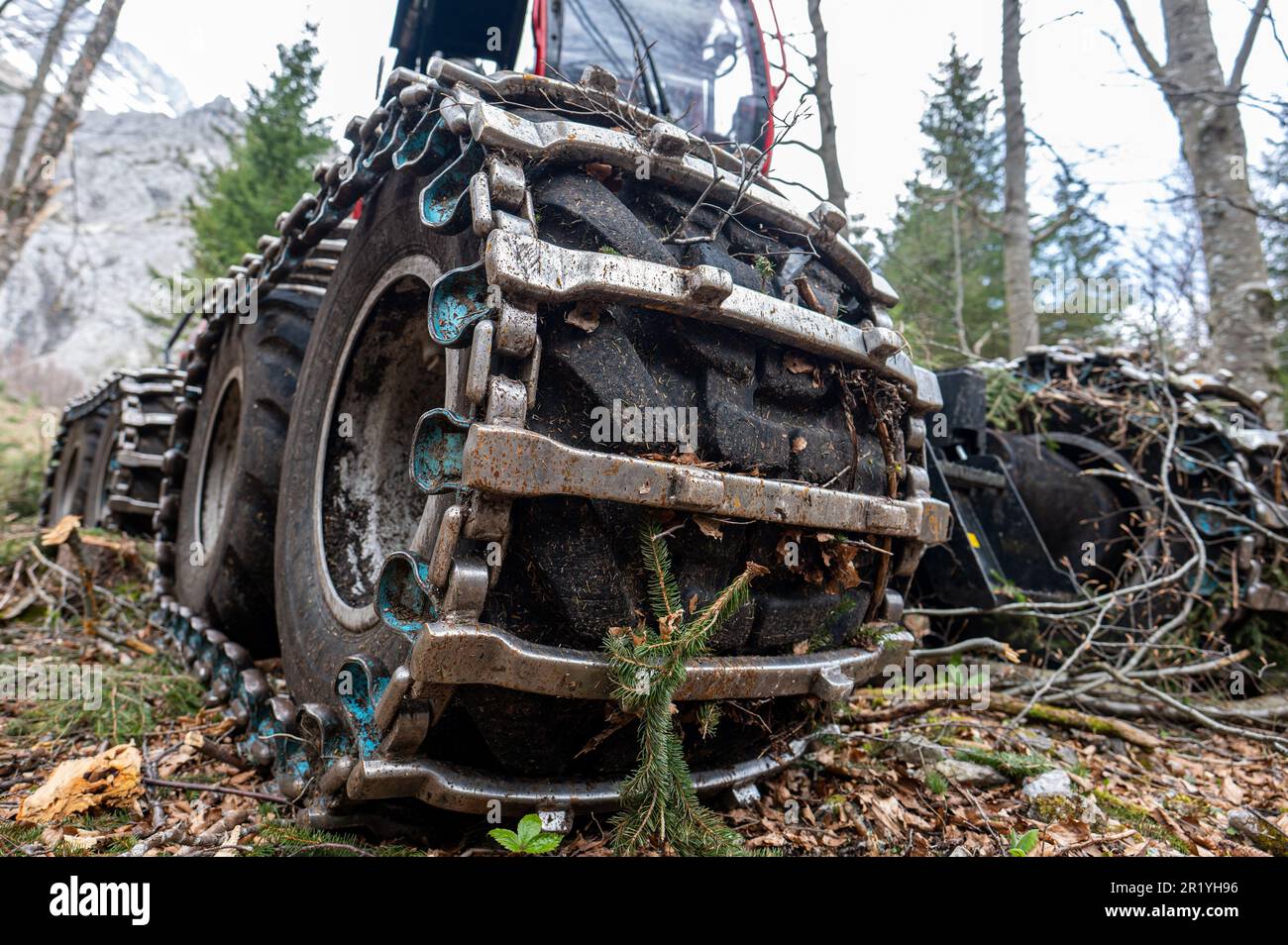 Extreme off-road heavy logging machinery Stock Photo - Alamy
