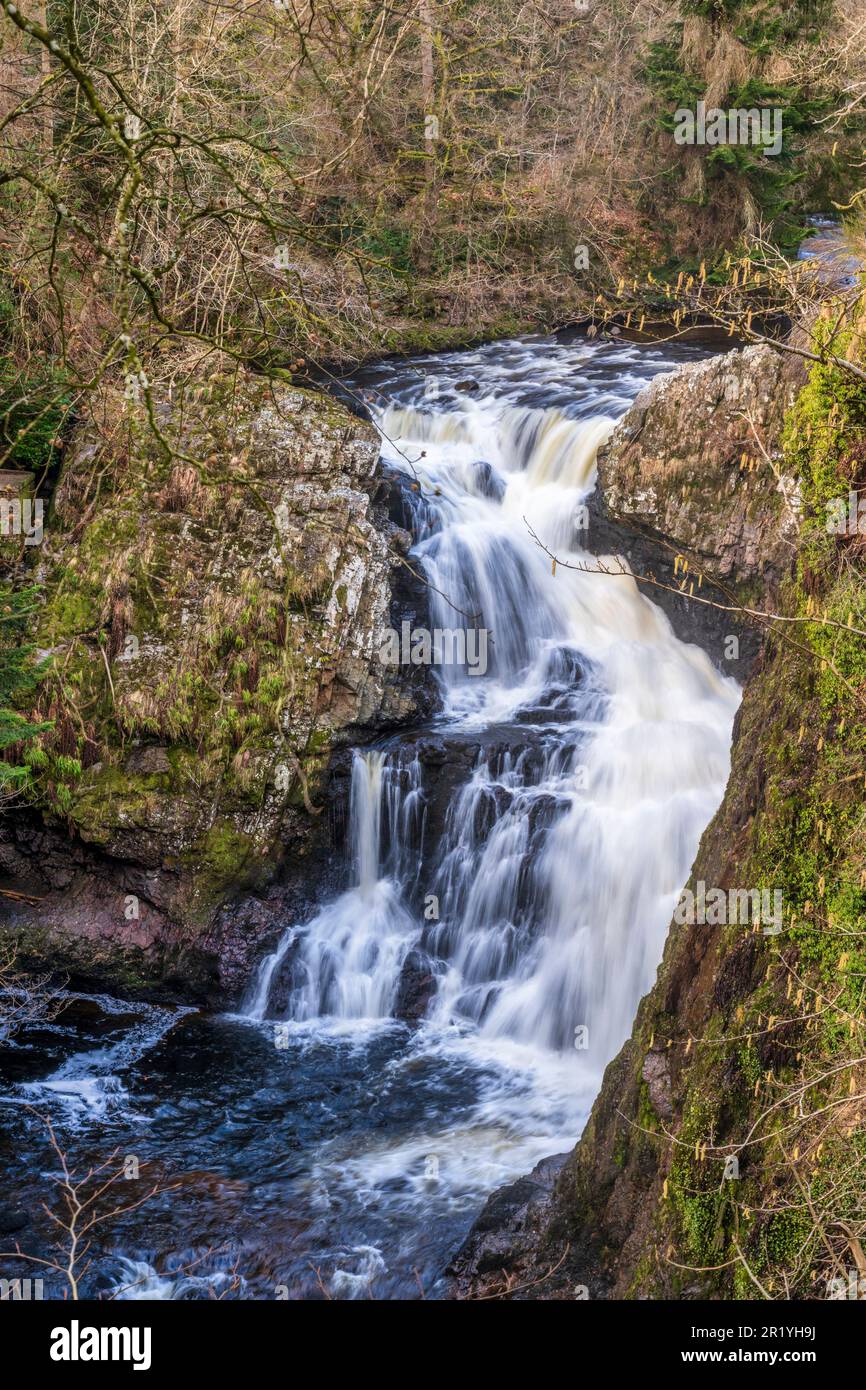 View of Reekie Linn Waterfall on the River Isla near Blairgowrie in ...