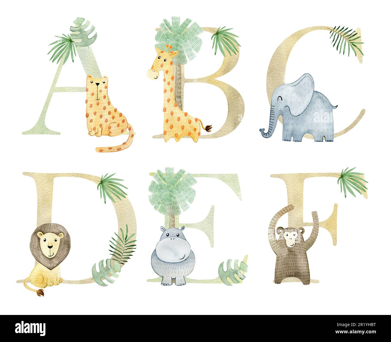 Exotic animals letters hi-res stock photography and images - Alamy