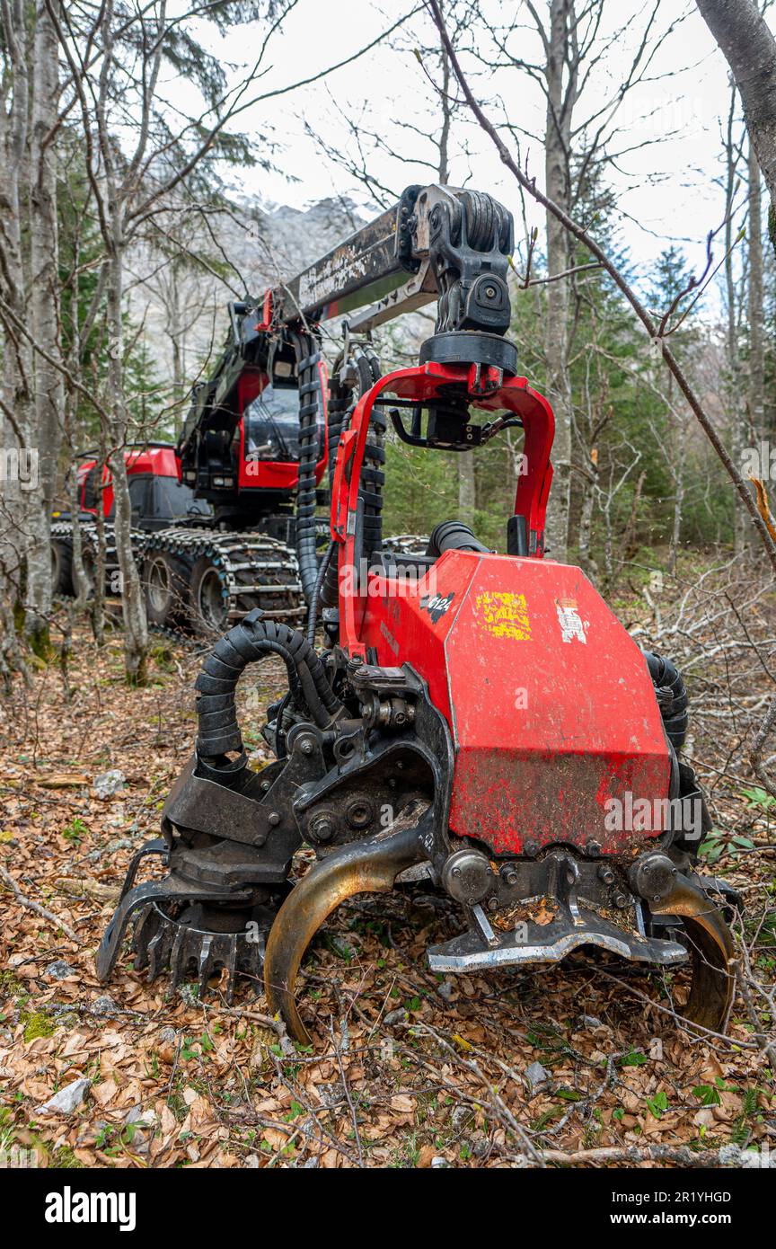 Extreme off-road heavy logging machinery Stock Photo - Alamy