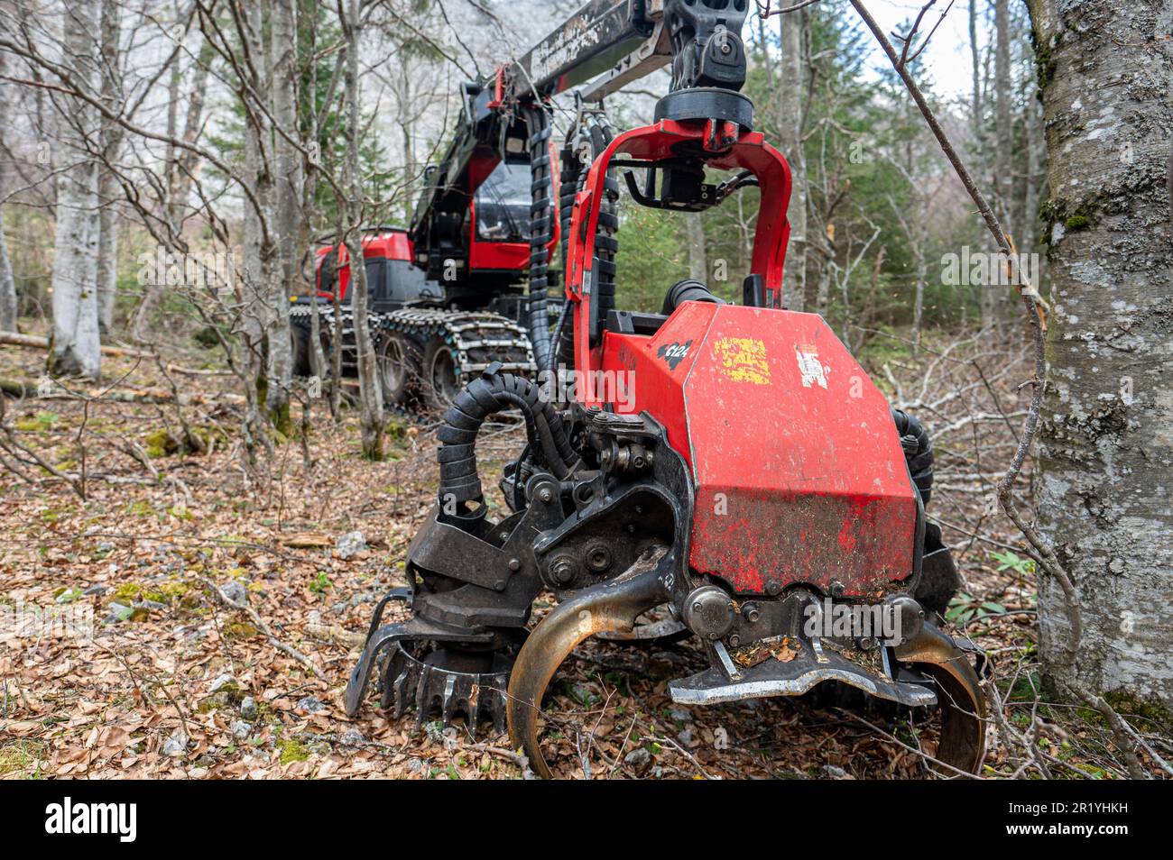 Extreme off-road heavy logging machinery Stock Photo - Alamy