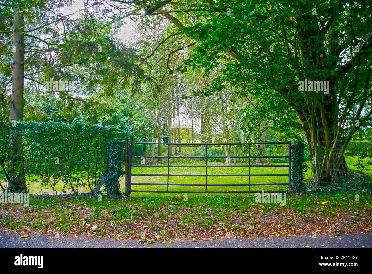 Entrance gate trees hi-res stock photography and images - Alamy