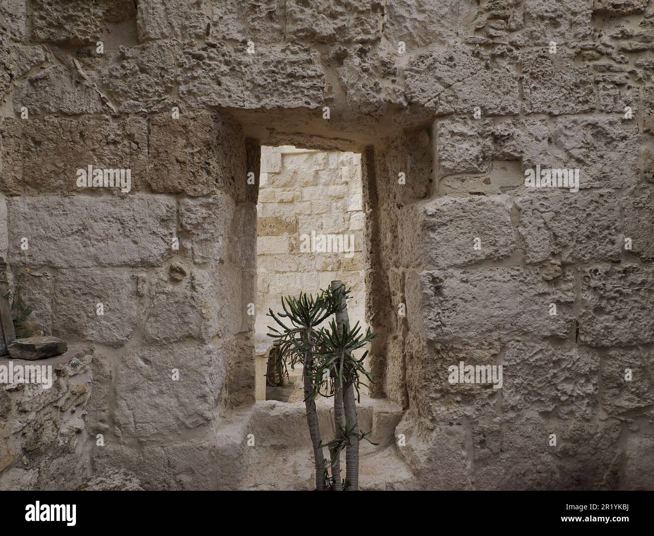 Church of San Giovanni, in the basement there are crypts, the famous ...