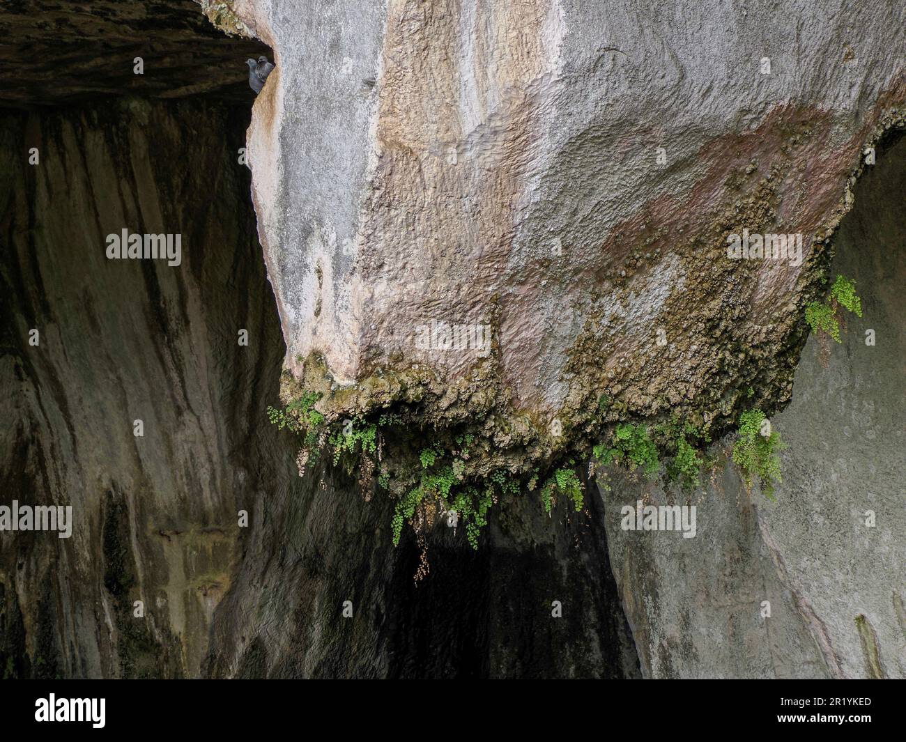 Ear of dionysus and Cave of the Nymphaeum (Grotta del Ninfeo ...