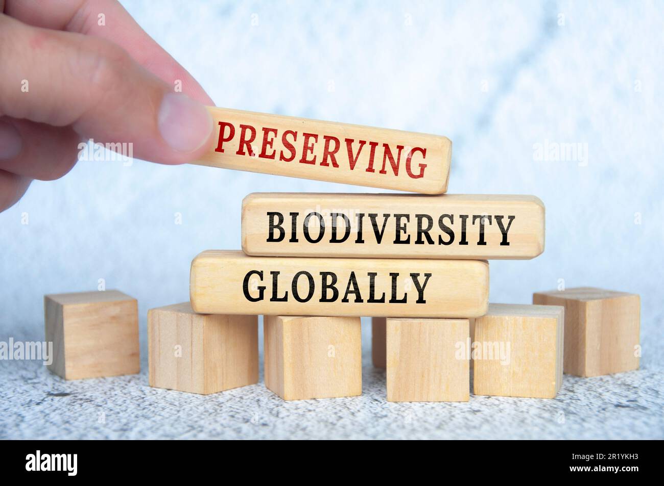 Preserving Biodiversity Globally text on wooden blocks. Conservation ...