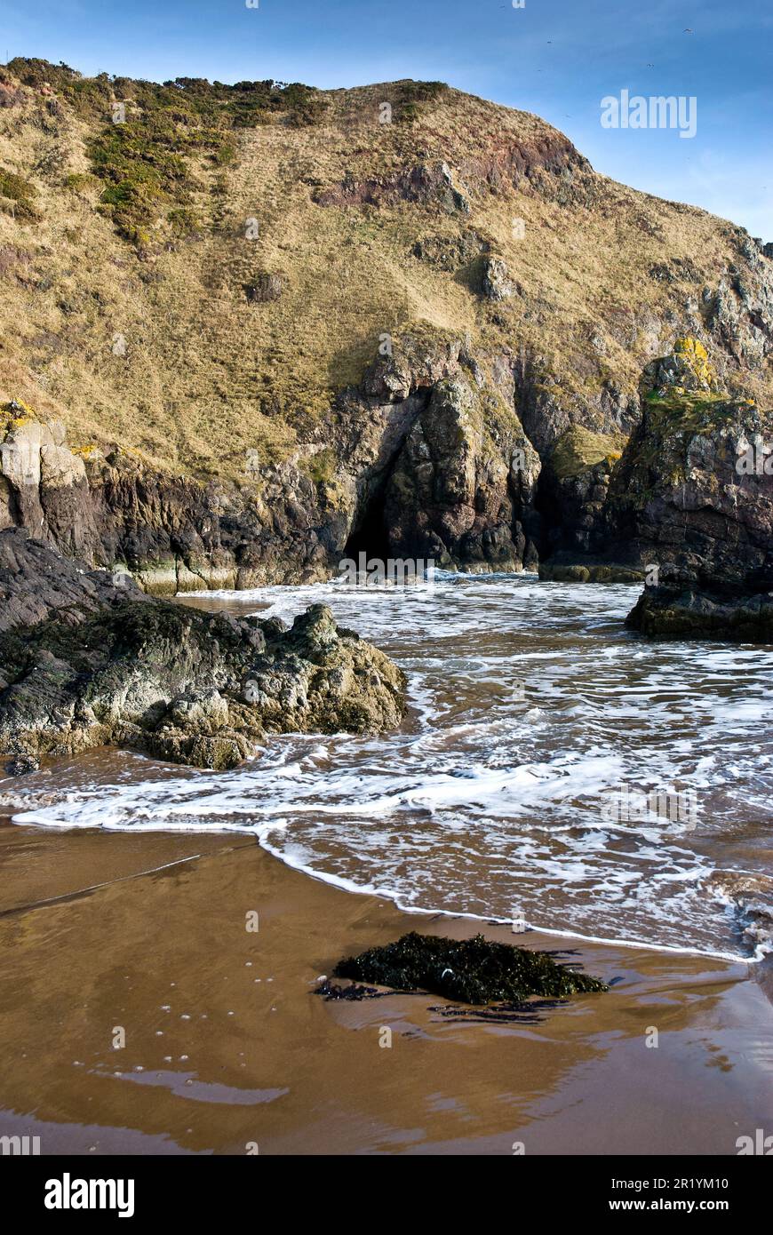 Cave, St Cyrus Nature Reserve, Scotland Stock Photo - Alamy