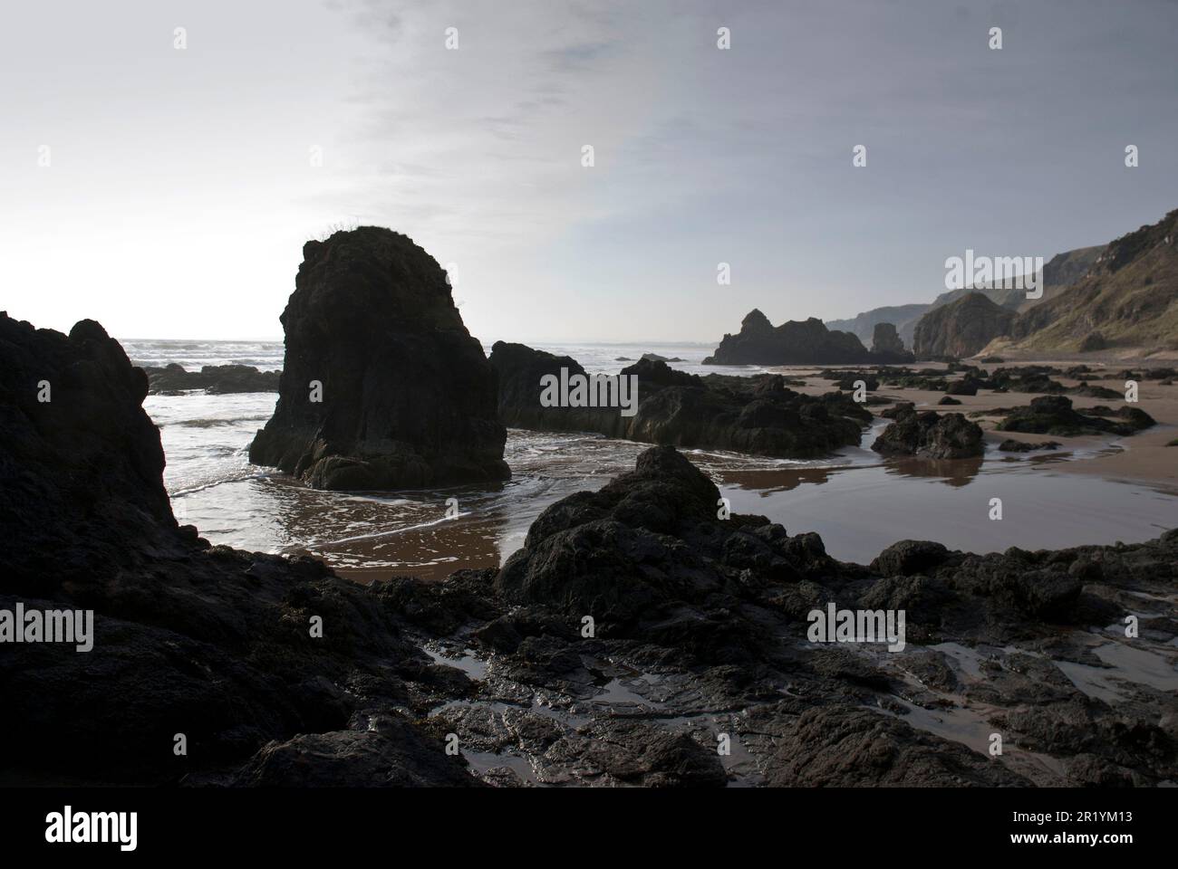 St Cyrus Nature Reserve, Scotland Stock Photo - Alamy