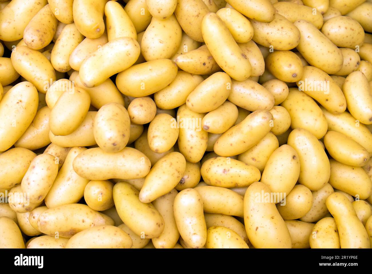 Clean detail hi-res stock photography and images - Alamy