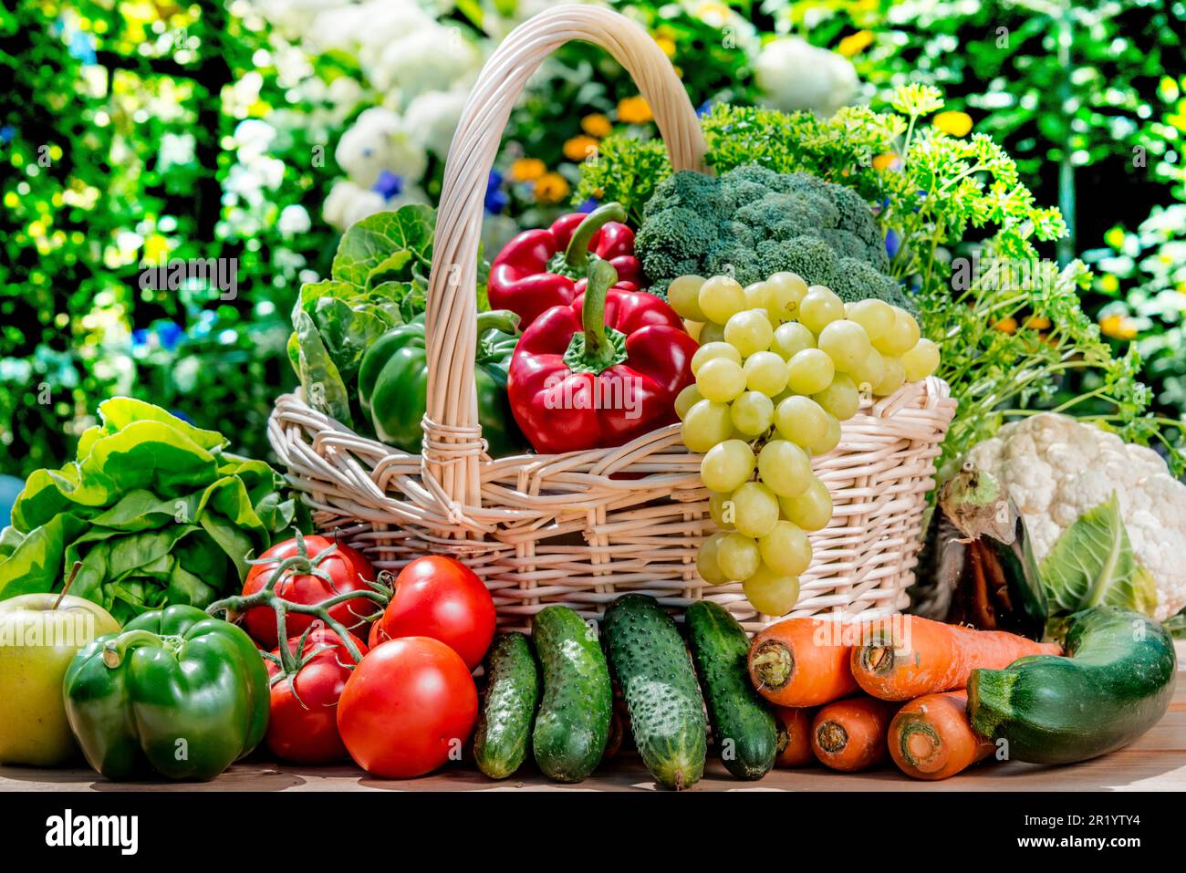 Variety of fresh organic vegetables and fruits in the garden. Balanced ...