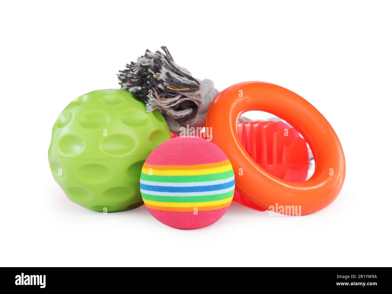 Different toys for pet isolated on white Stock Photo - Alamy