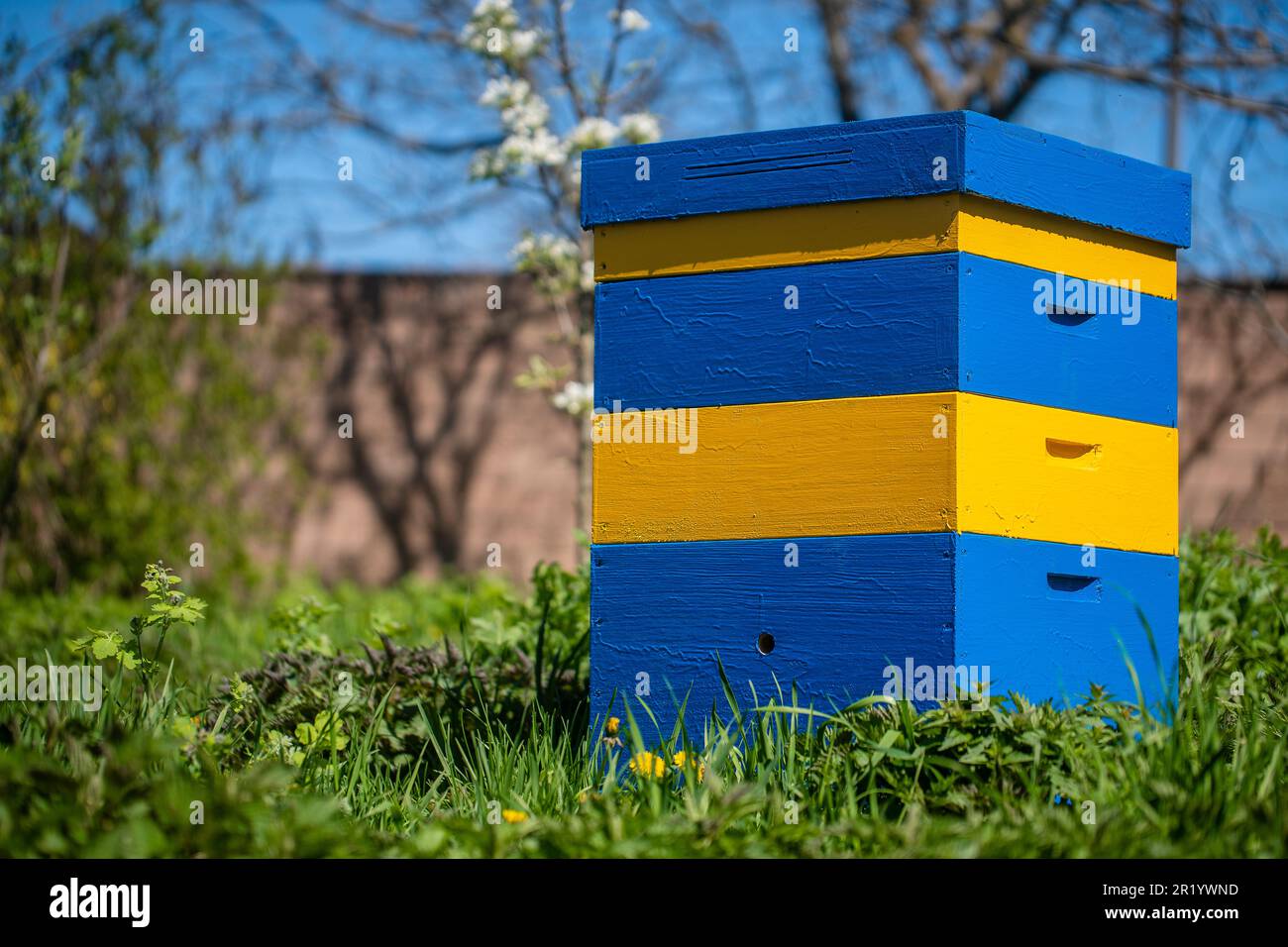 Beehive lid hi-res stock photography and images - Alamy