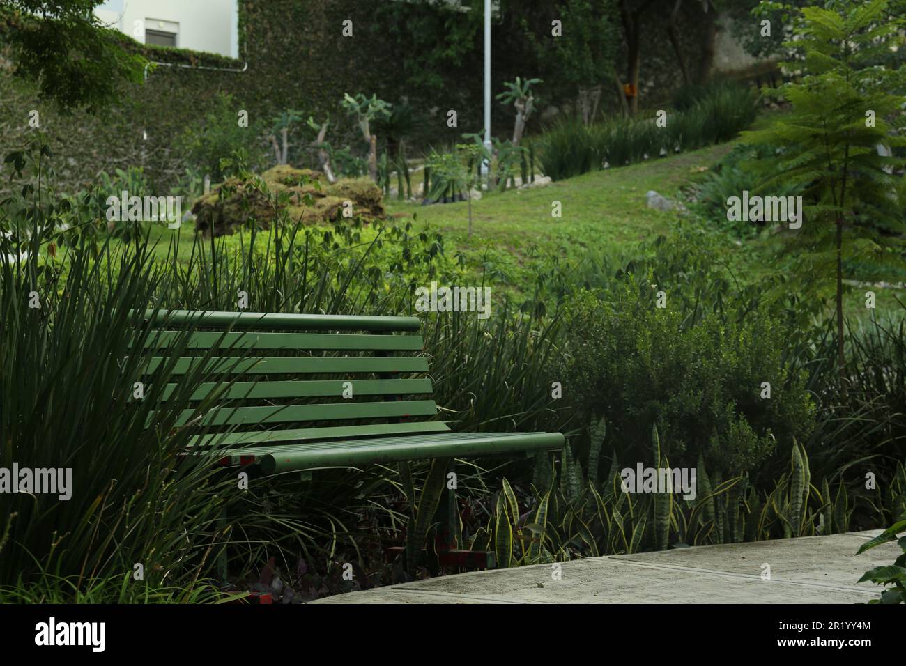 Picturesque view of beautiful park with bench Stock Photo - Alamy