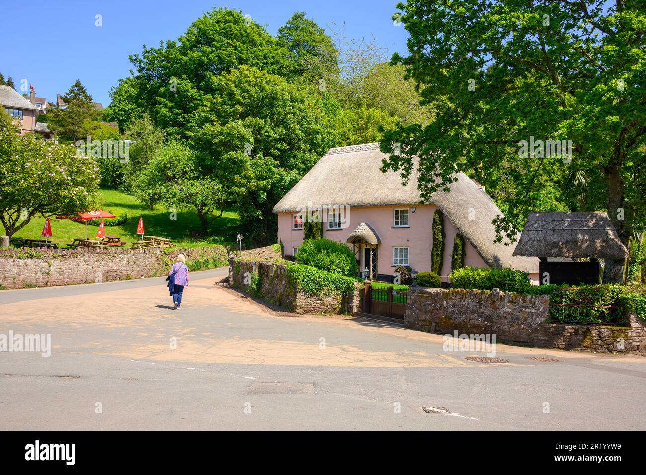 Cockington village, Torquay, Devon in May. Pink house, thatched cottage ...