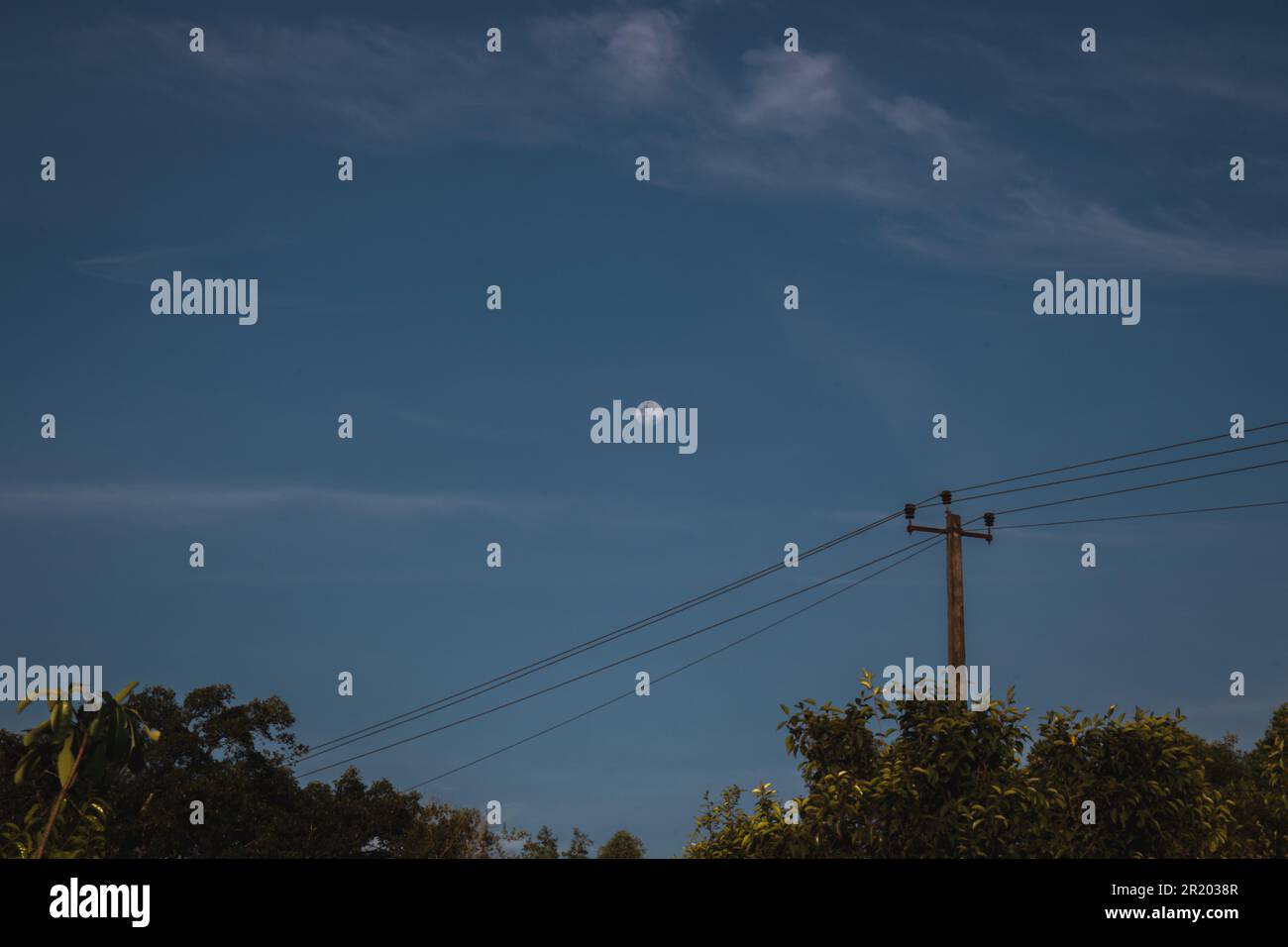 Forest electric pole india hi-res stock photography and images - Alamy