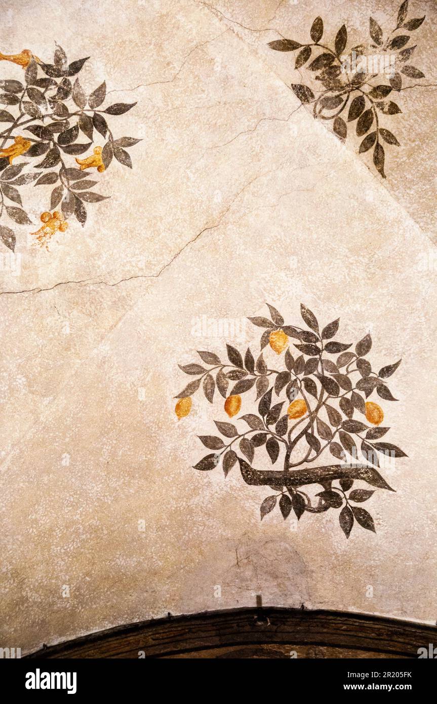 Italian painted fresco of lemon trees in Milan, Italy at Sforzas Castle ...