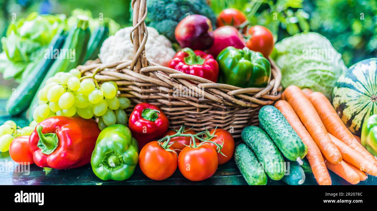 Variety of fresh organic vegetables and fruits in the garden. Balanced ...