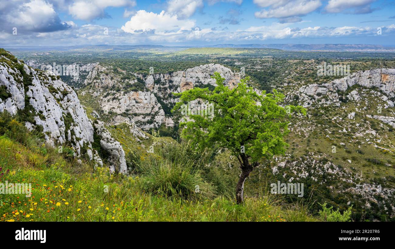 Gorge Cava Grande, Riserva Naturale die Cava Grande del Cassibile ...