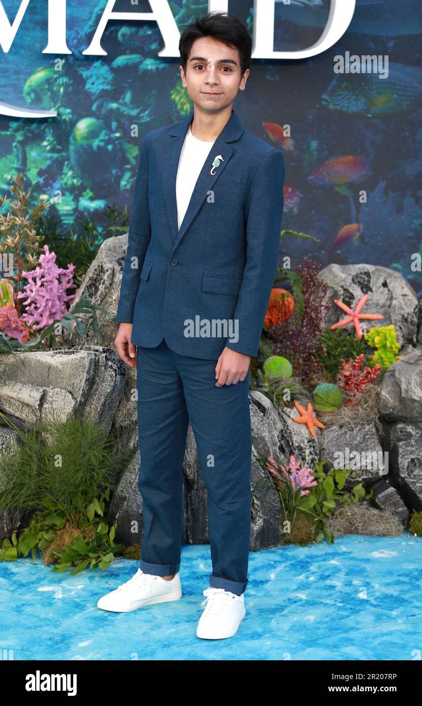 Alexander molony hi-res stock photography and images - Alamy