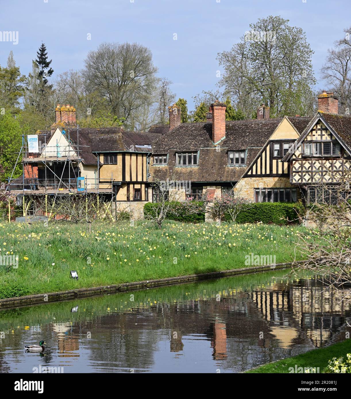 Anne boleyn wing hi-res stock photography and images - Alamy