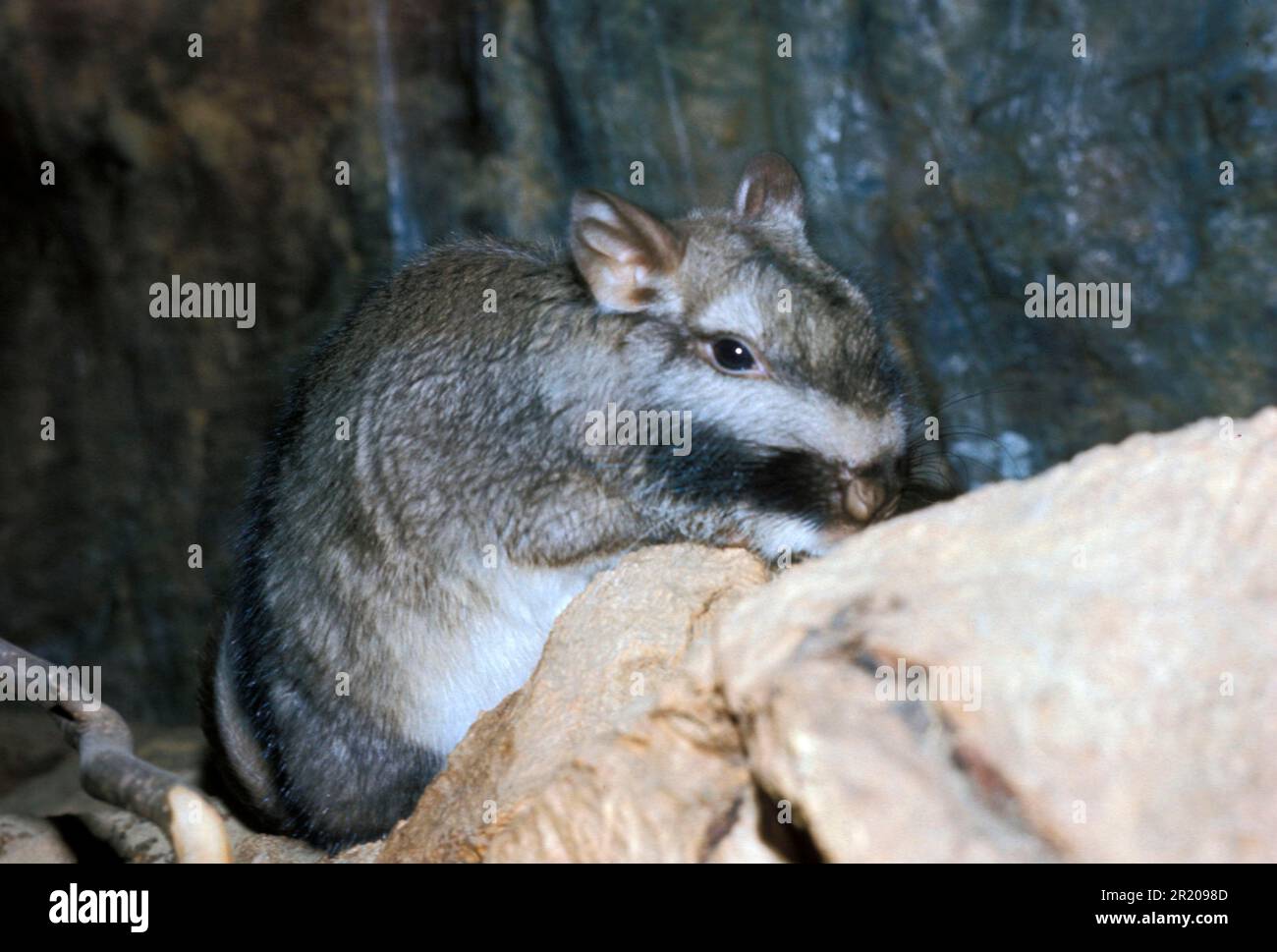 Lowland plains hi-res stock photography and images - Alamy