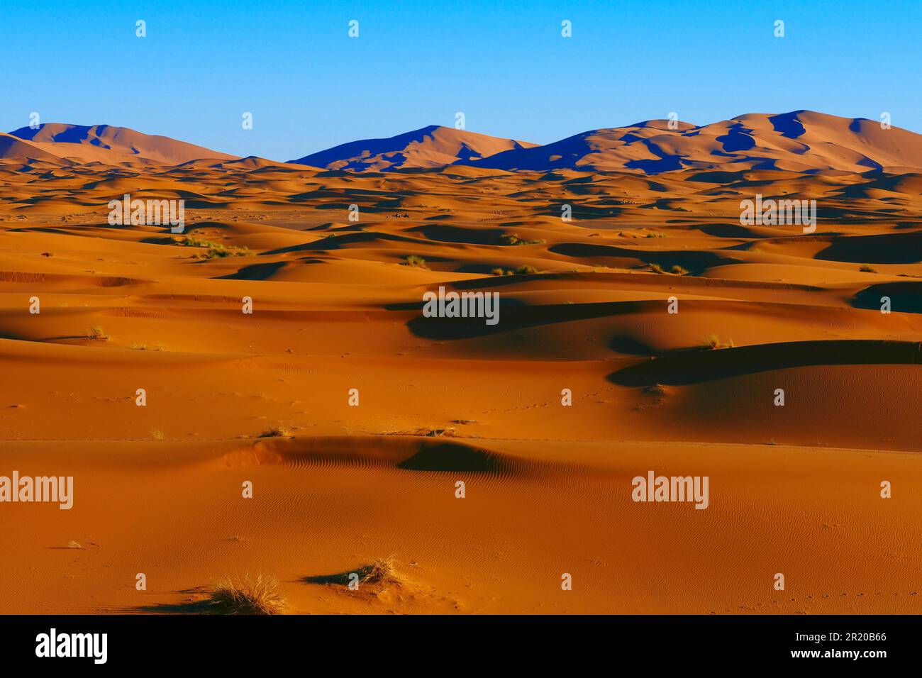 Merzouga, Erg Chebbi, Merzouga Sand Dunes, Sahara Desert, Maghreb ...