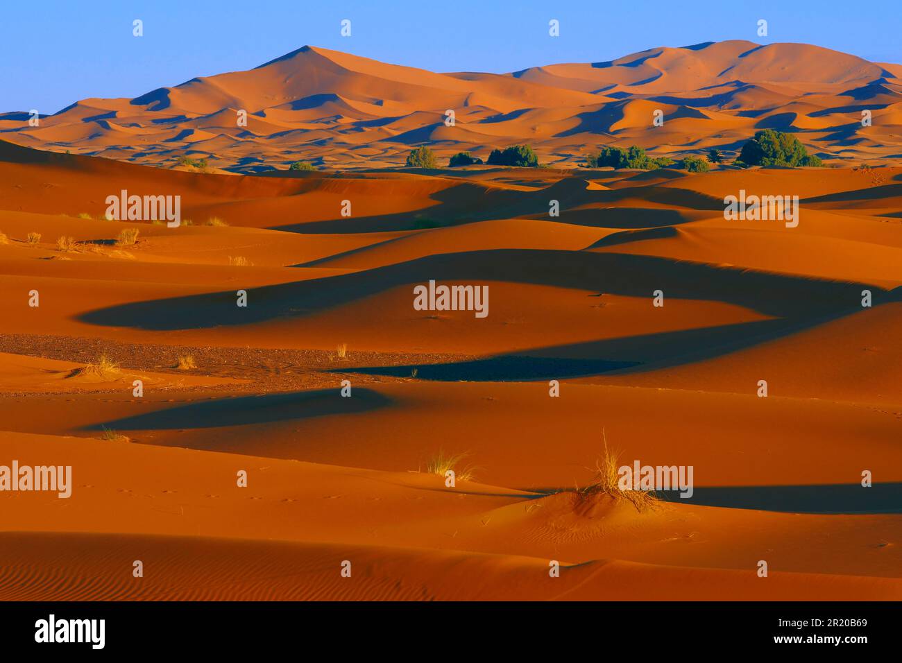 Merzouga, Erg Chebbi, Merzouga Sand Dunes, Sahara Desert, Maghreb ...