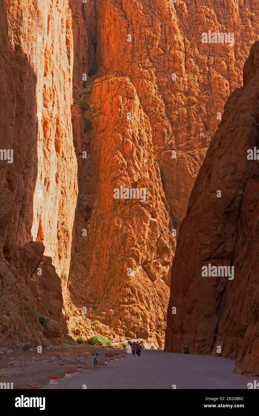 Todra Gorge, Todra Valley, High Atlas, North Africa, Morocco Stock ...