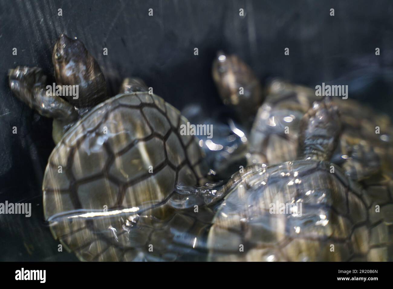 Cambodian ministry hi-res stock photography and images - Alamy