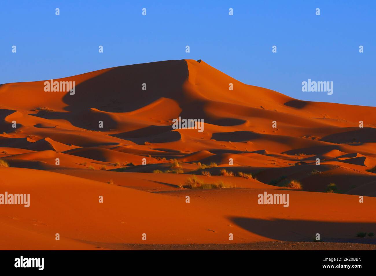 Merzouga, Erg Chebbi, Merzouga Sand Dunes, Sahara Desert, Maghreb ...