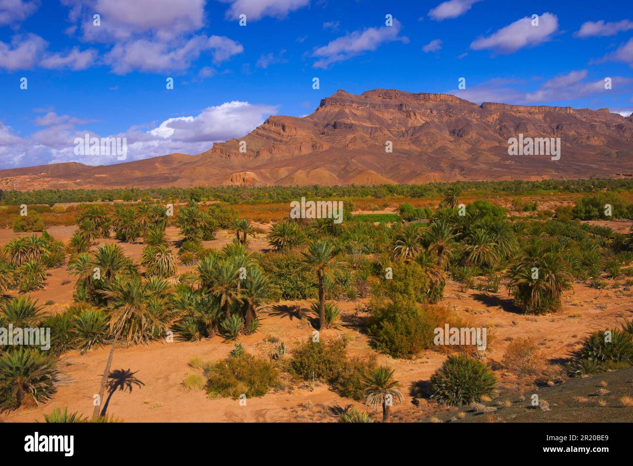 Djebel Kissane, Agdz, palm grove, oasis, Draa Valley, Souss-Massa-Draa ...