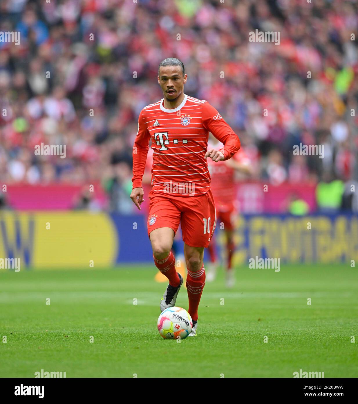 Leroy Sane FC Bayern Munich FCB (10) on the ball, Allianz Arena, Munich ...