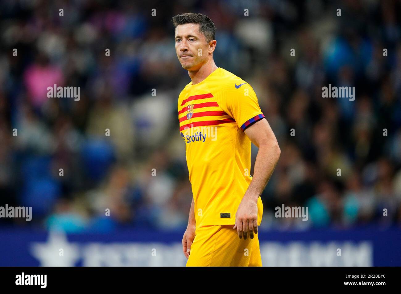Robert Lewandowski of FC Barcelona during the La Liga match between RCD ...