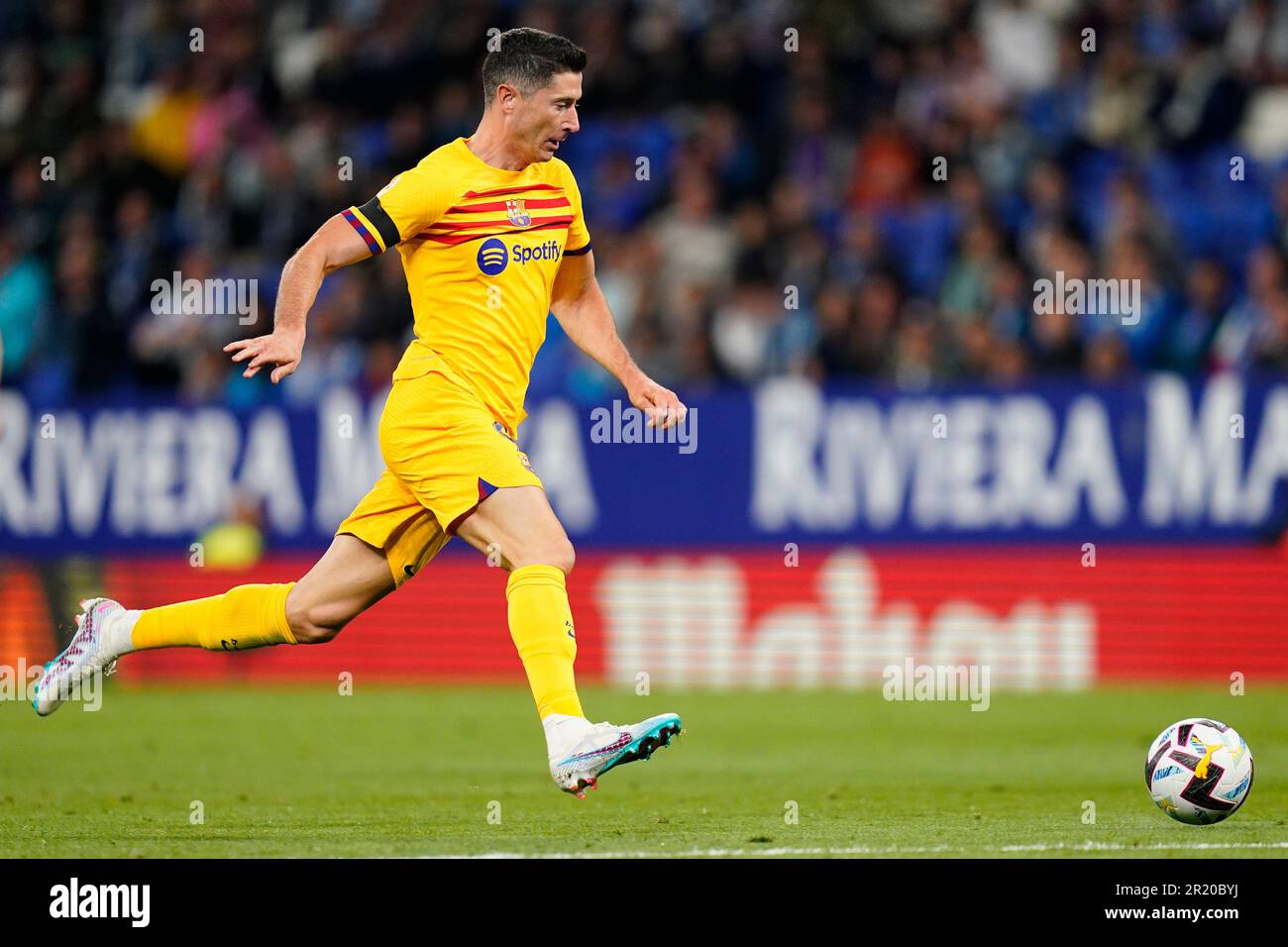 Robert Lewandowski of FC Barcelona during the La Liga match between RCD ...