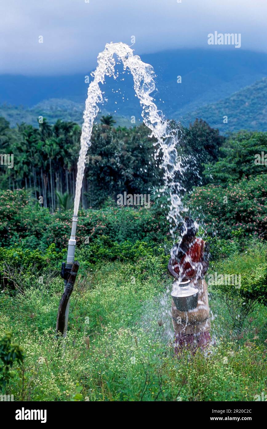A woman collecting water directly from bore well in Anaikatty, Tamil ...