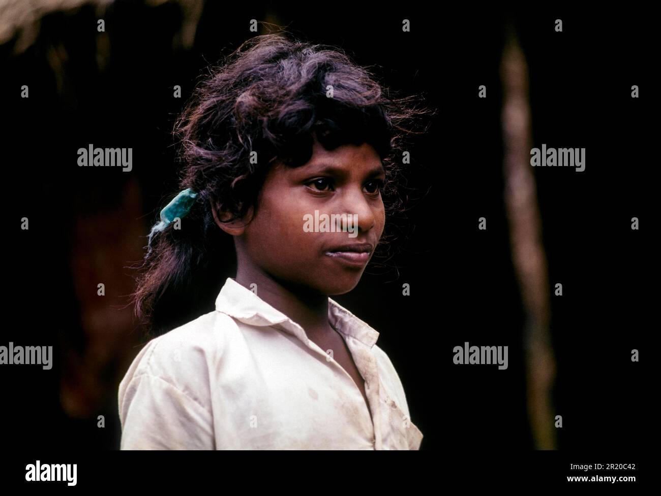 Jenu Kurumba tribal girl at Nagarahole, Karnataka, South India, India ...