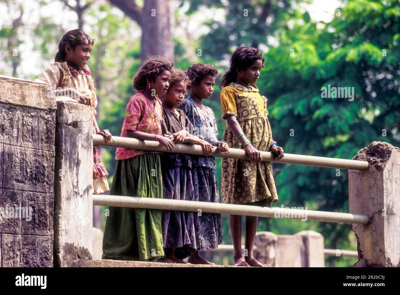 Tribal children at Belle, Kabini, Karnataka, South India, India, Asia ...