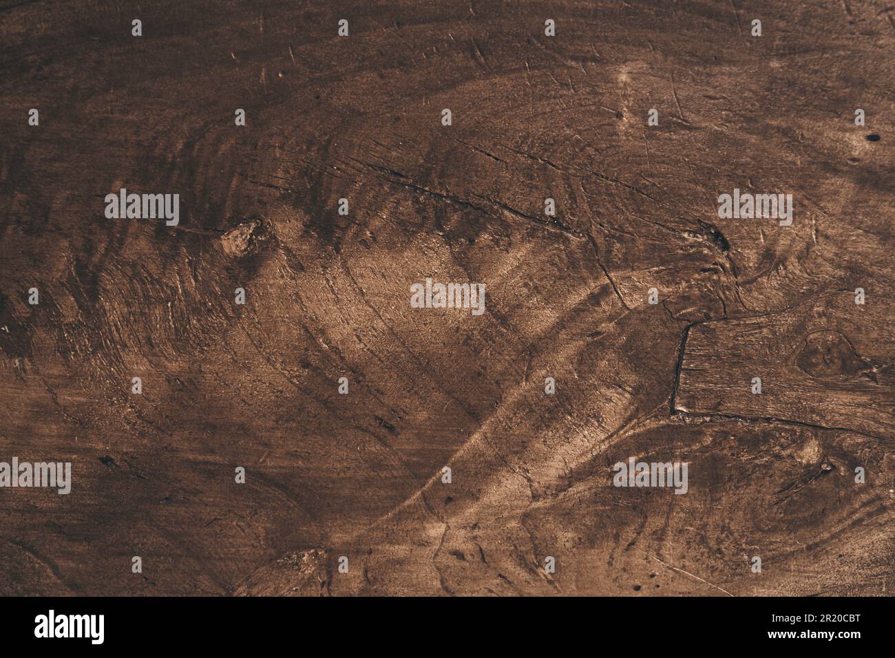 The texture of the processed wood. Detailed texture of the trunk of a ...