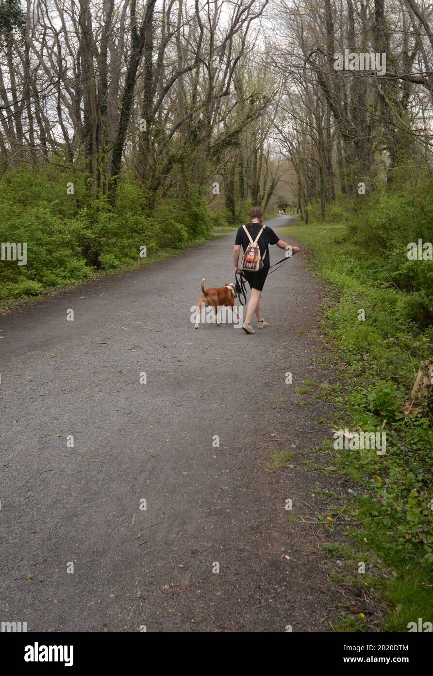 A woman walks her dog along the popular Virginia Creeper trail in ...