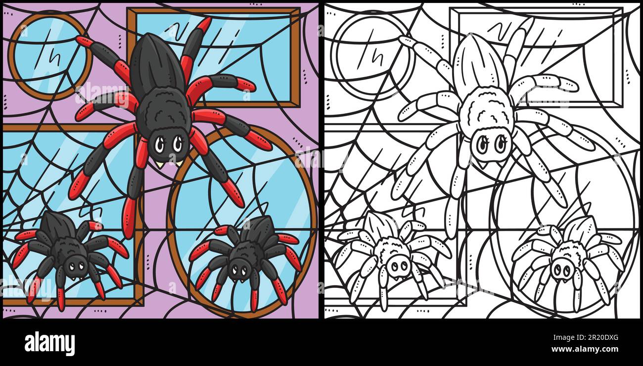 Mother Spider and Baby Spider Illustration Stock Vector Image & Art - Alamy