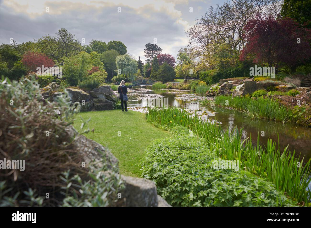 Burnby Hall Gardens in the springtime Stock Photo - Alamy