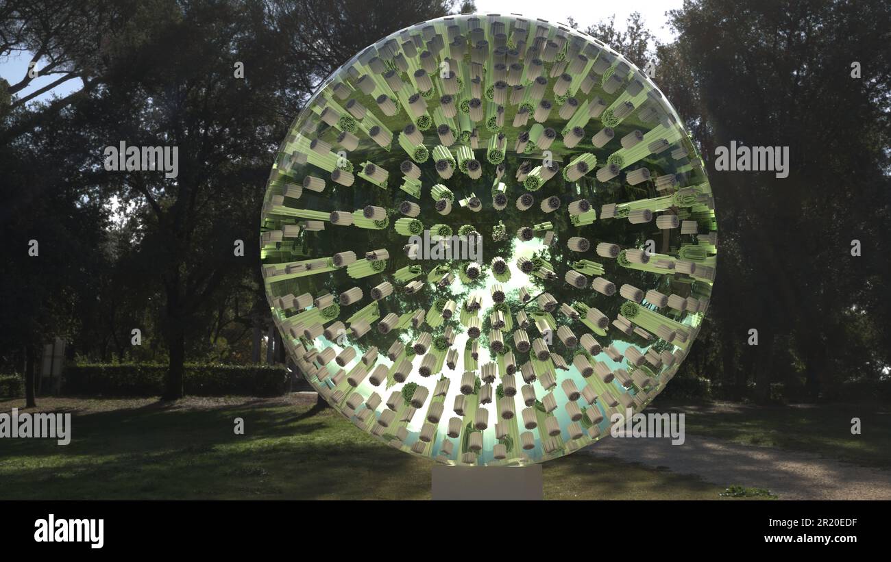 Translated as Muhammad, Ali, Fatima, Hassan Hussein, Sajjad, Baqar ...