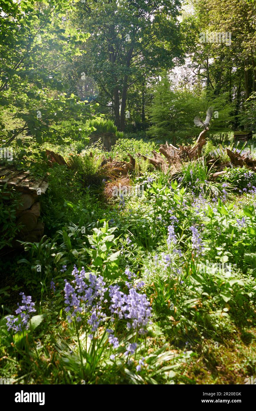 Burnby Hall Gardens in the springtime Stock Photo - Alamy