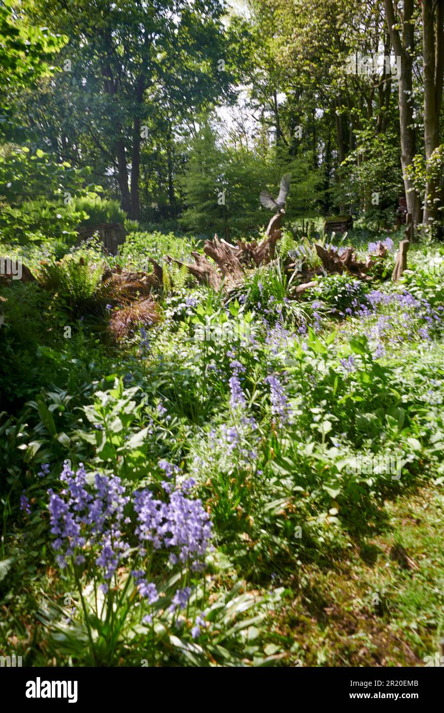 Burnby Hall Gardens in the springtime Stock Photo - Alamy